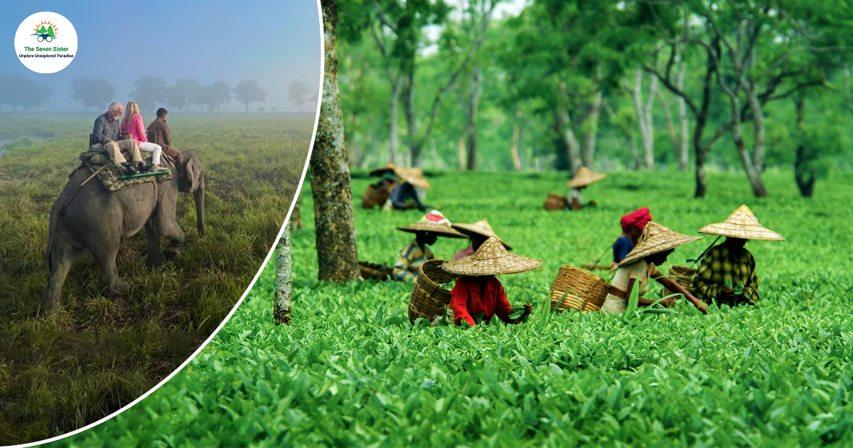 Book 9 Days Scenic Assam Tour Package from Guwahati